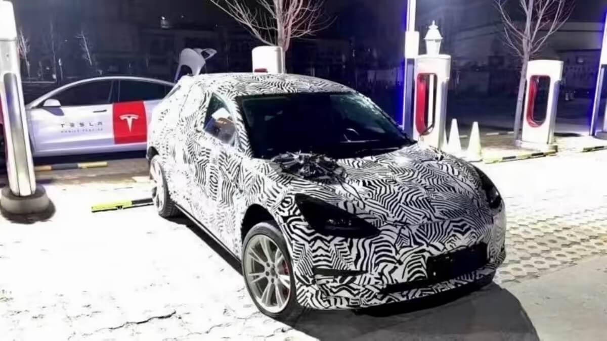 Primeras fotos espía del Tesla Model 2, un SUV eléctrico que ...